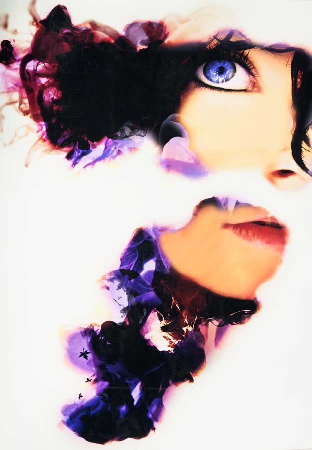 2013-MD-02 - Congressional Institute