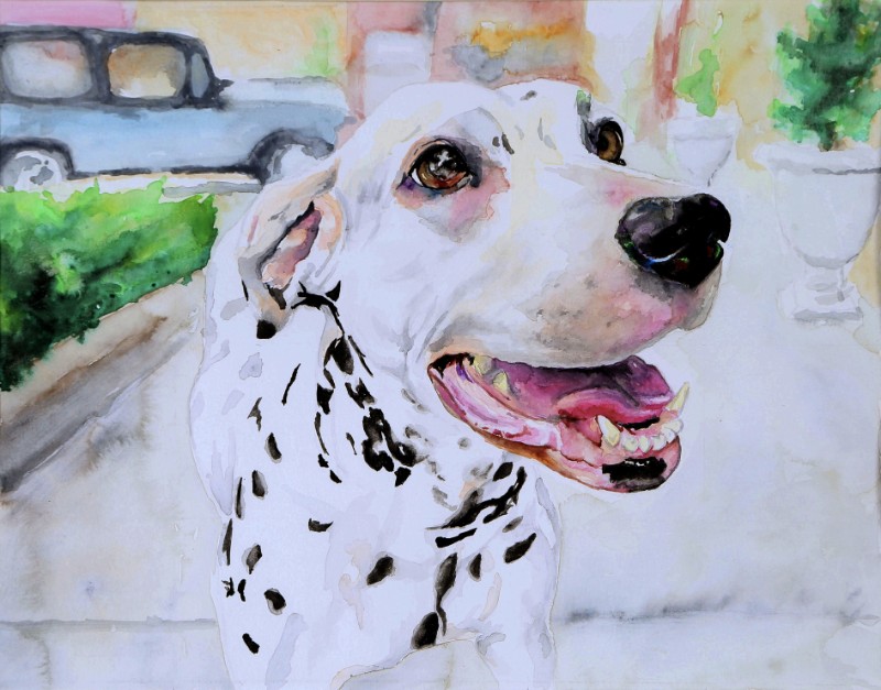 2017-FL-16 - Congressional Institute