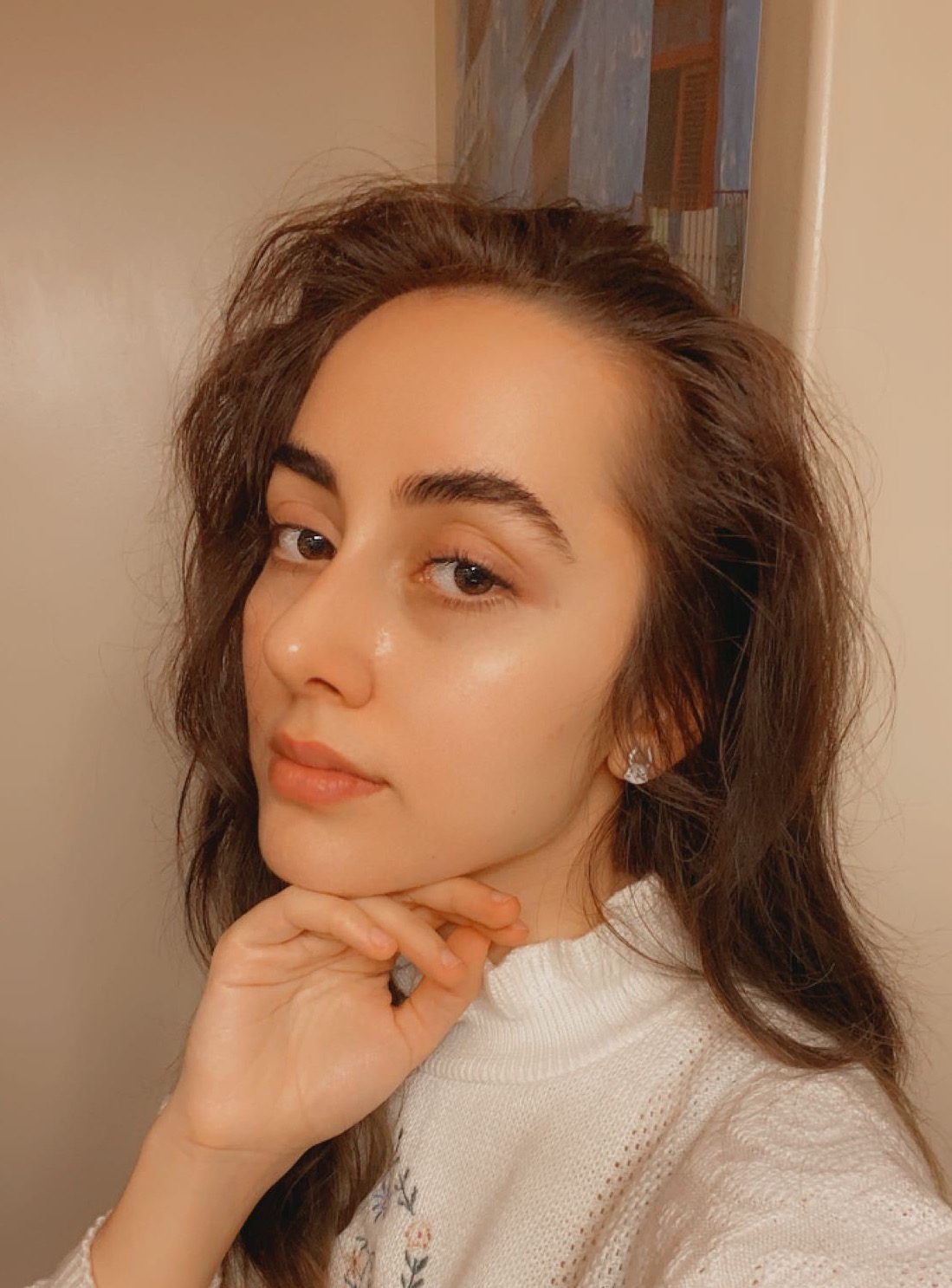 The Electric Butterfly - Congressional Institute