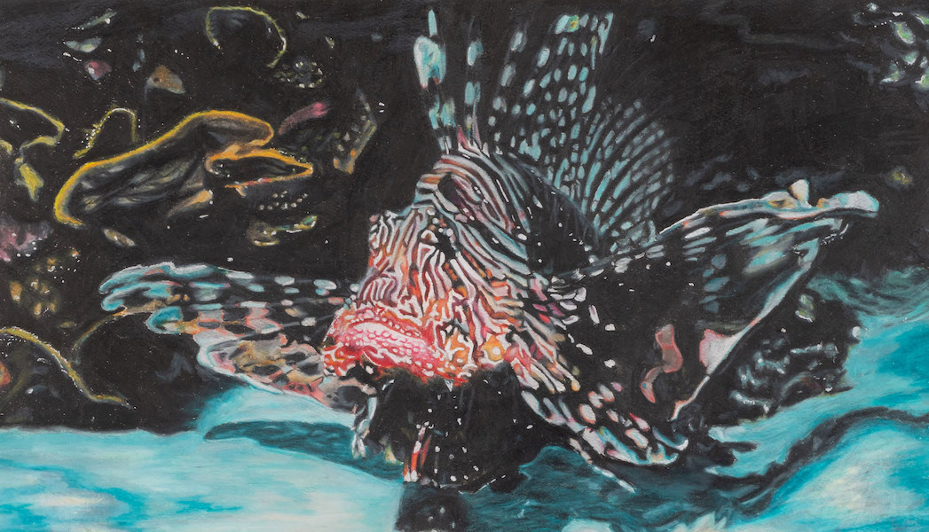 2022-FL-25 - Congressional Institute