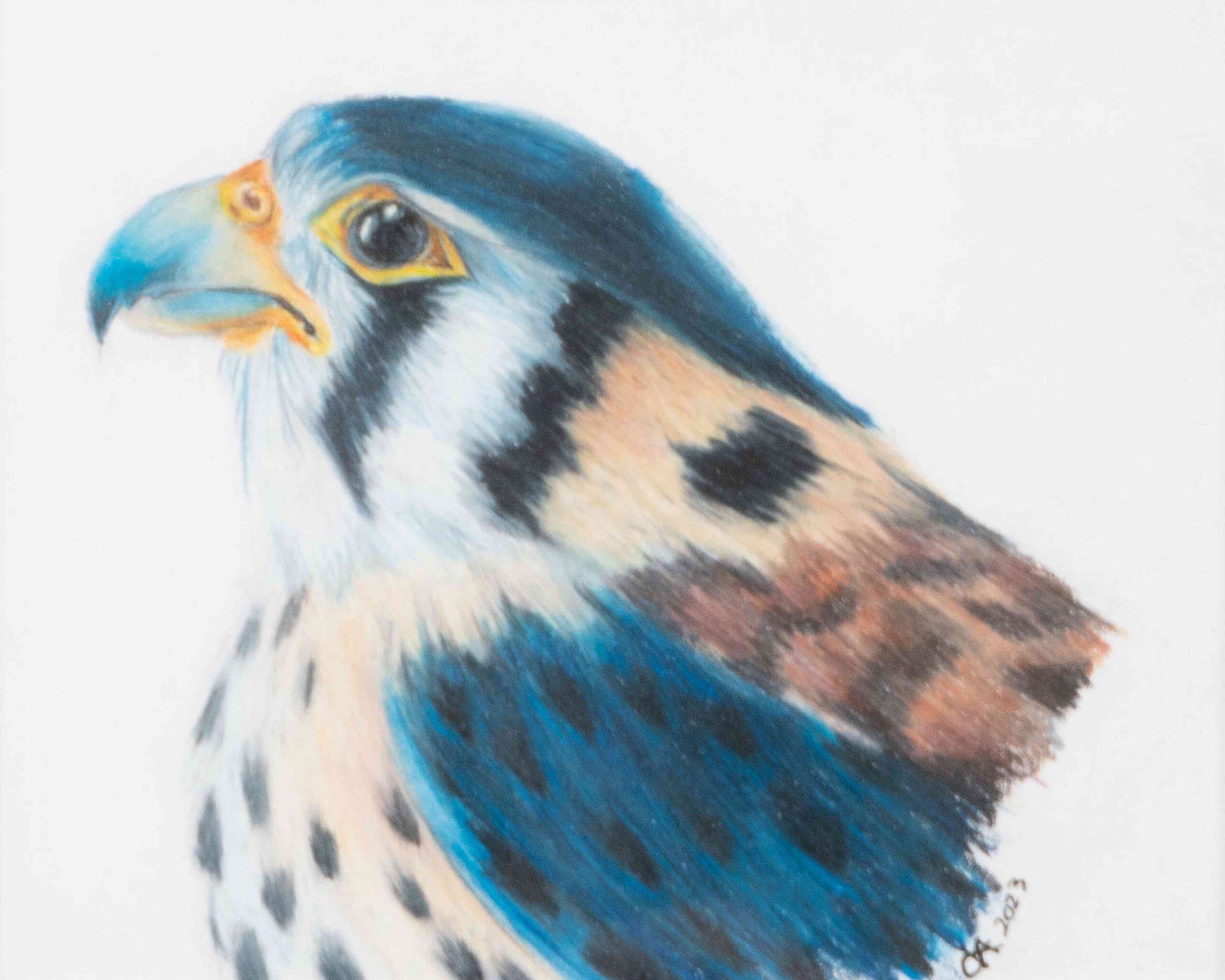 2023-ID-01 - Congressional Institute