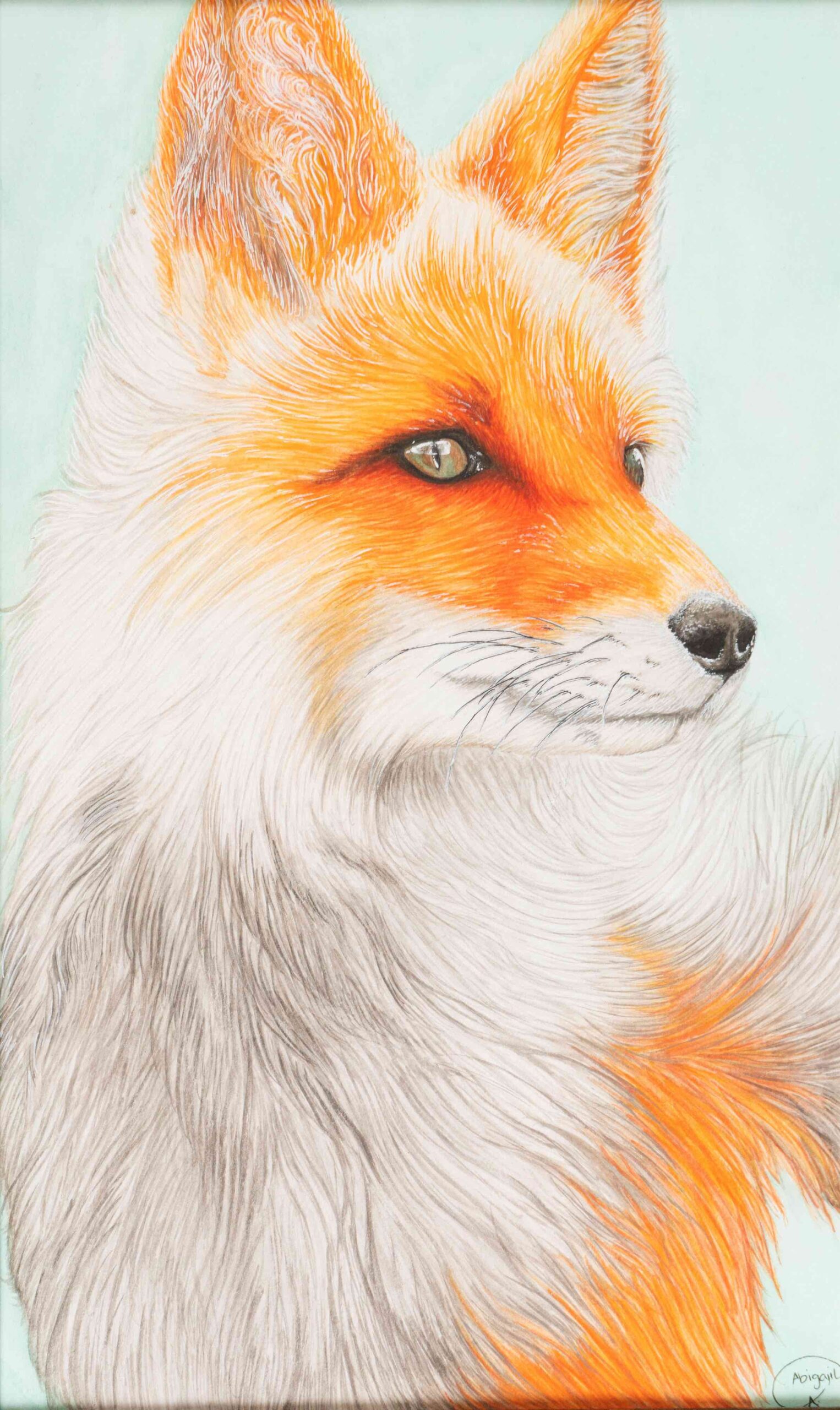 2023-ID-02 - Congressional Institute