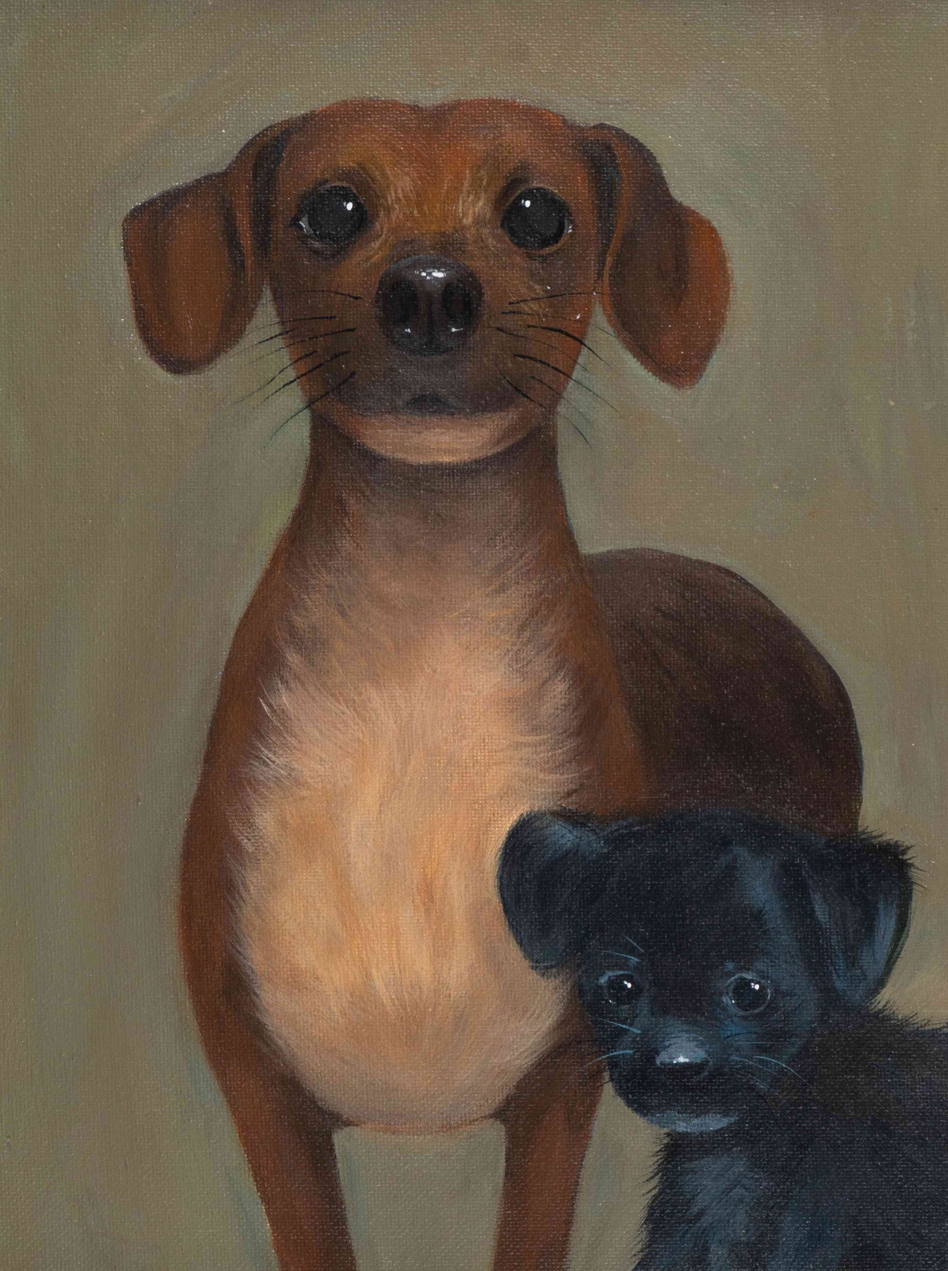 2023-SC-01 - Congressional Institute