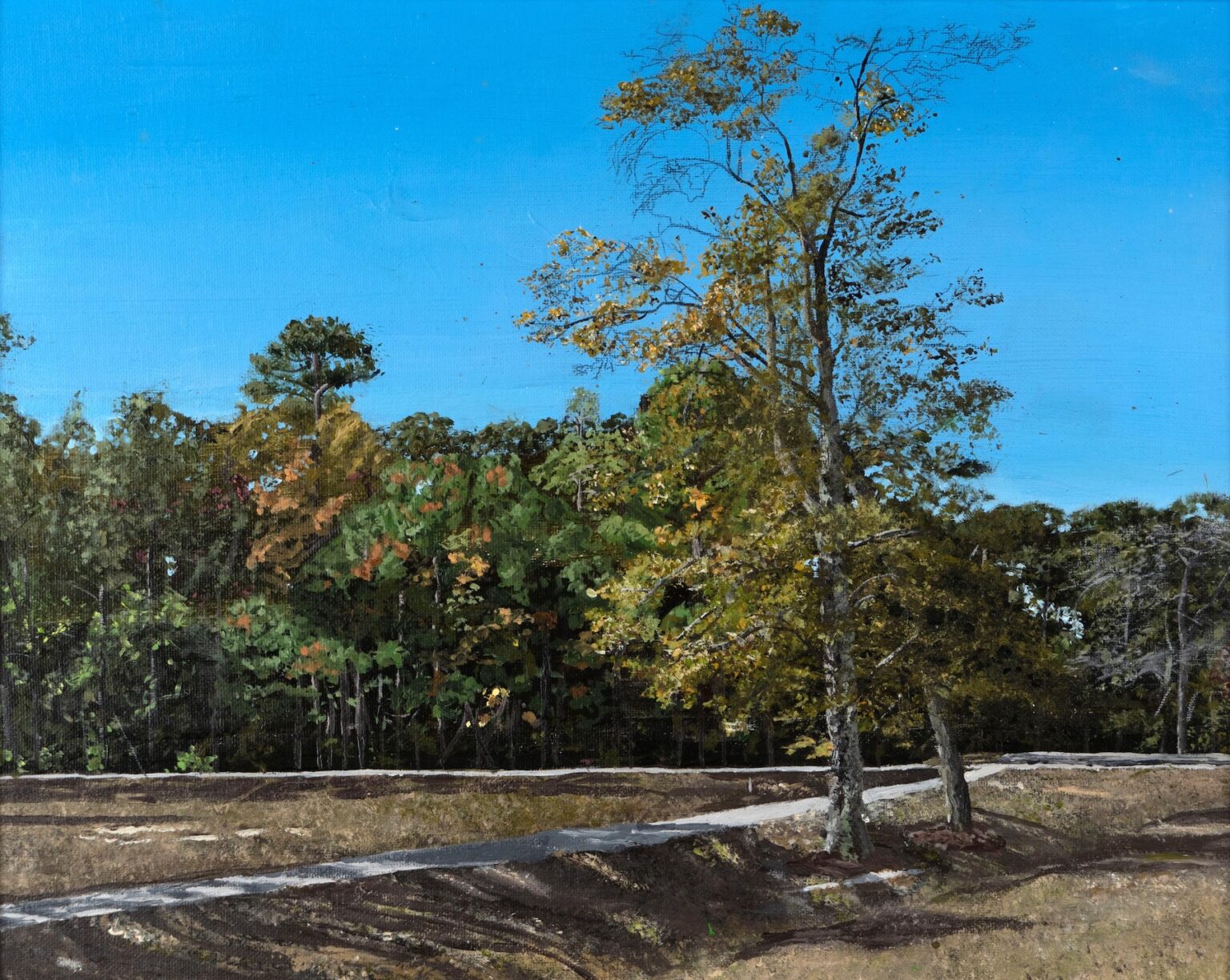 Congressional Art Competition - Congressional Institute