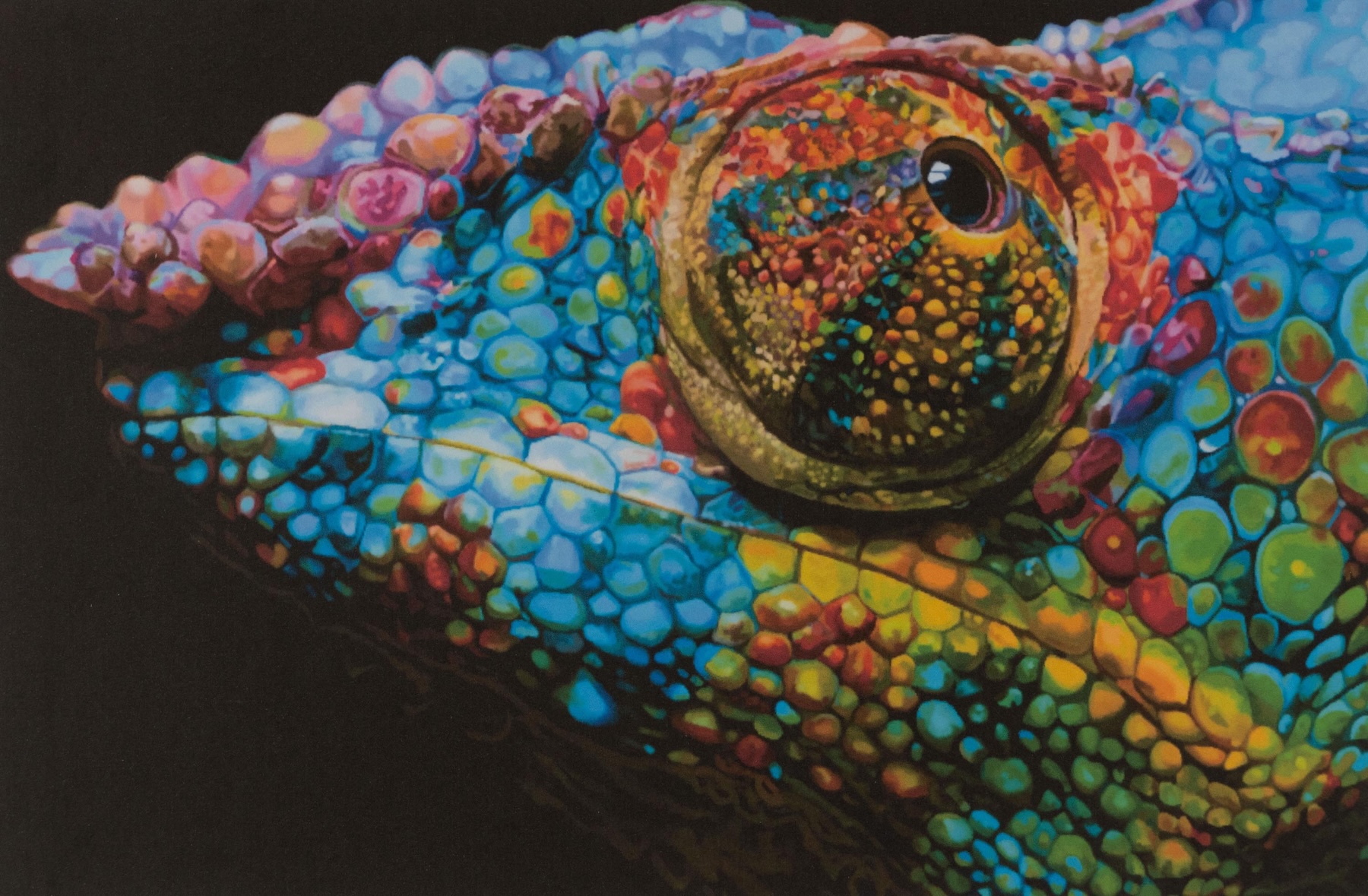 Congressional Art Competition - Congressional Institute