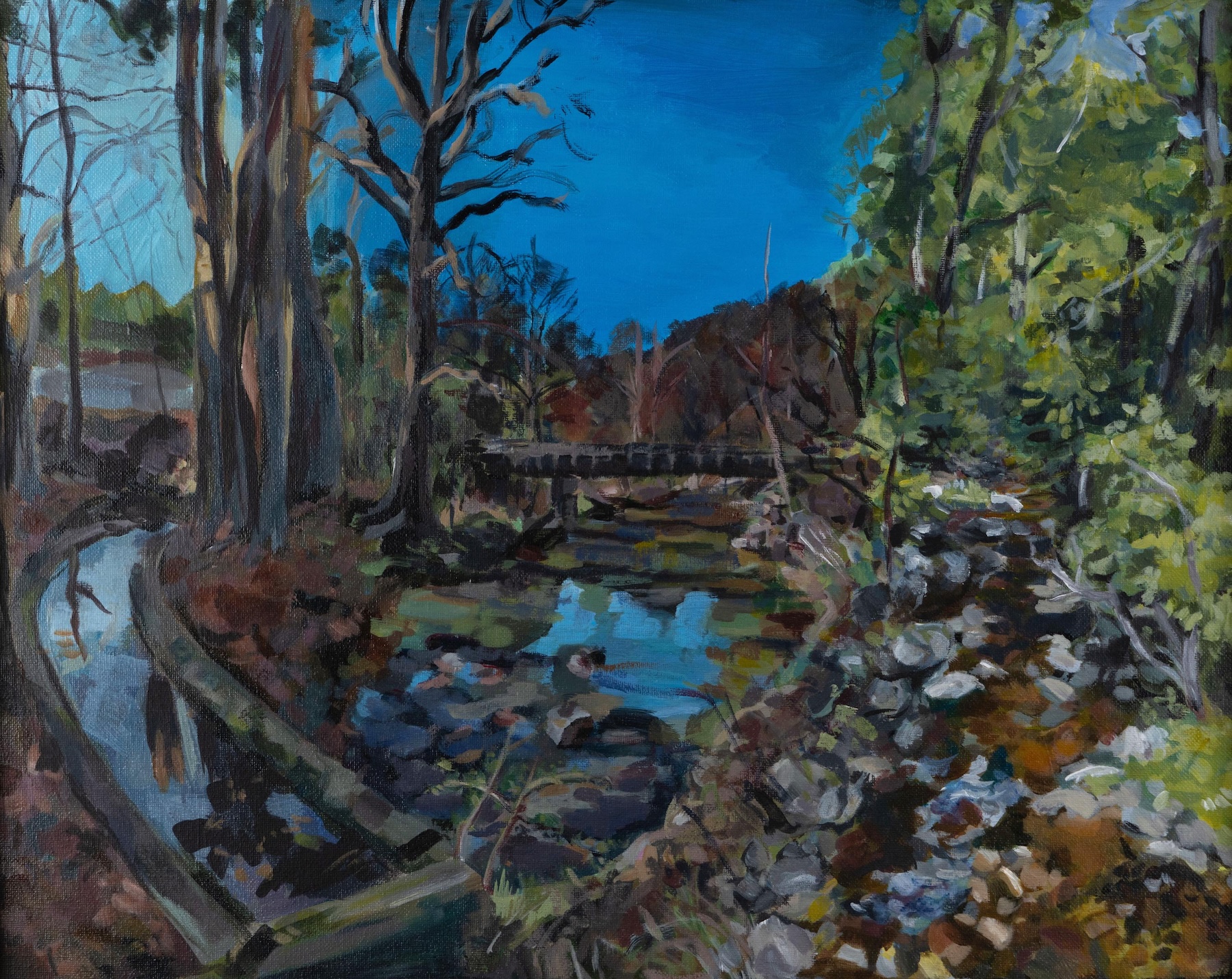 2024-VA-01 - Congressional Institute